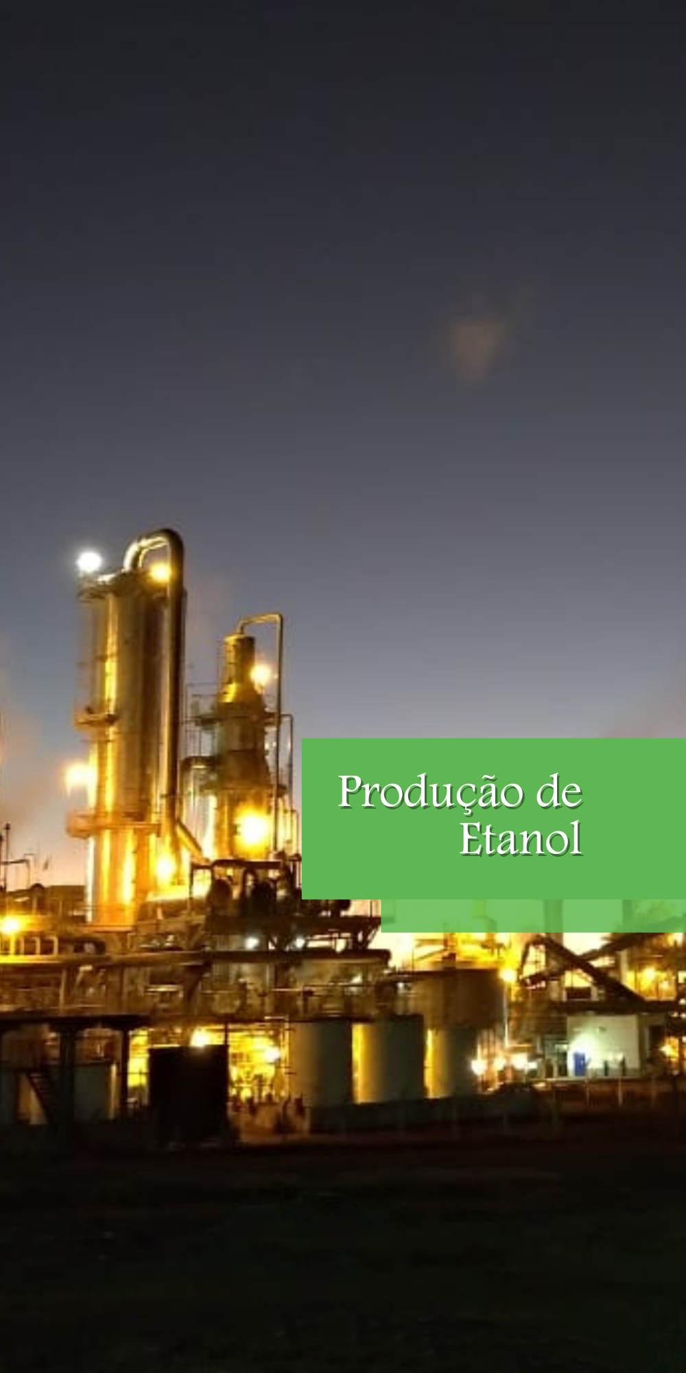 Bambuí | Bioenergia S.A